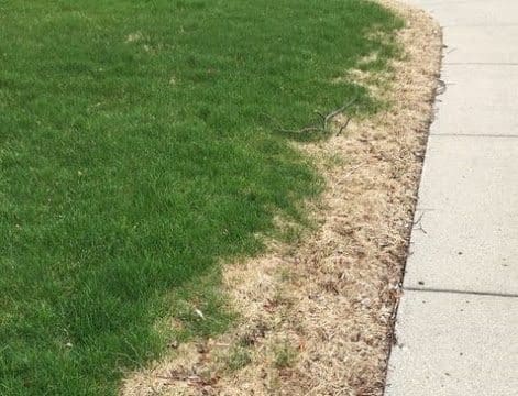 Top 3 Most Common Landscaping Issues After Winter